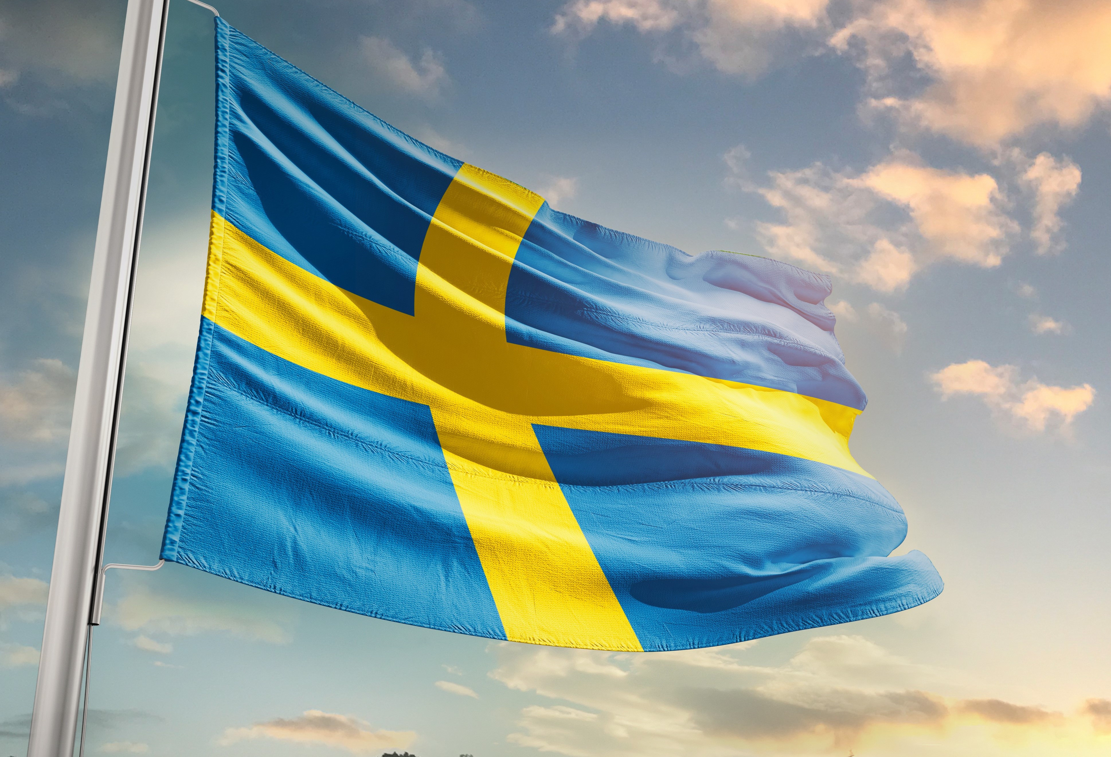 The Swedish EU Council Presidency- what to expect for social services ...