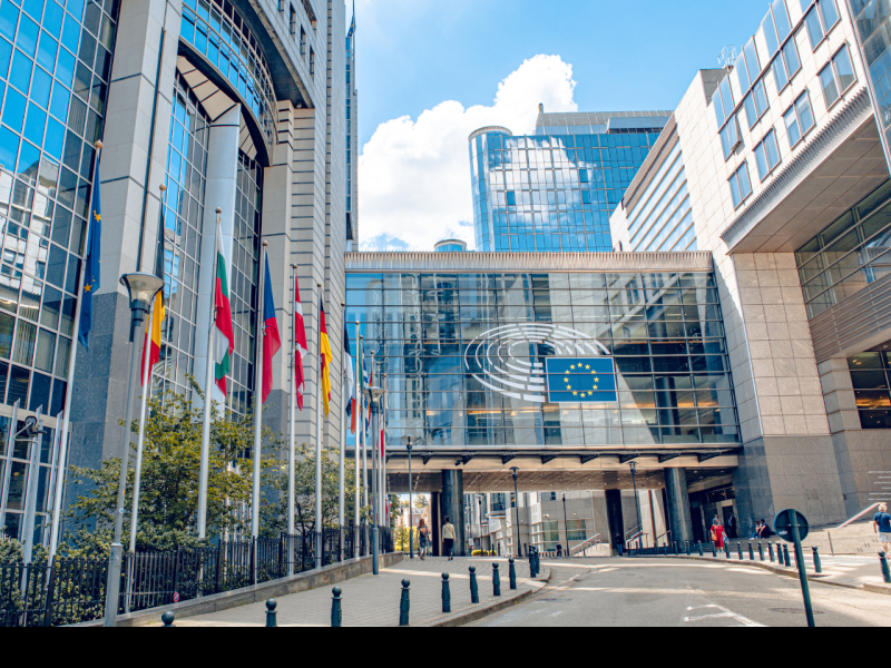 European Social Network | Home