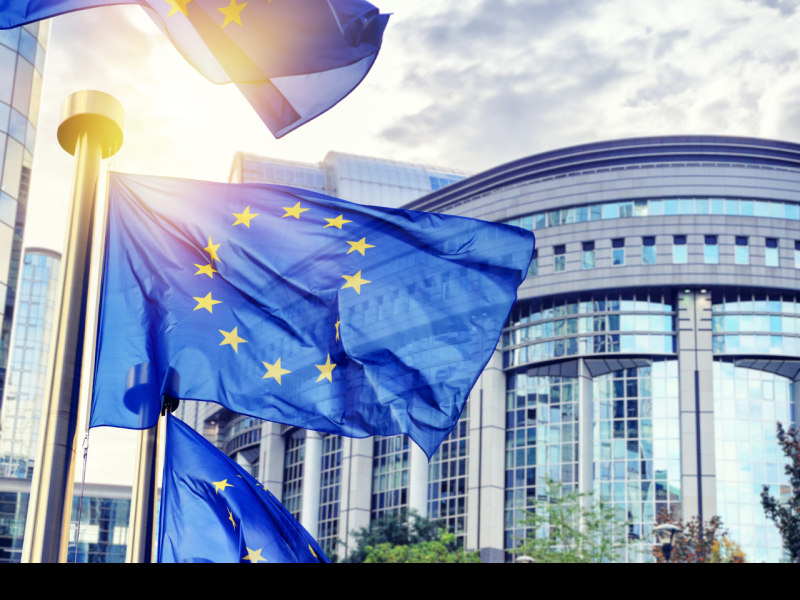 European Social Network | Home